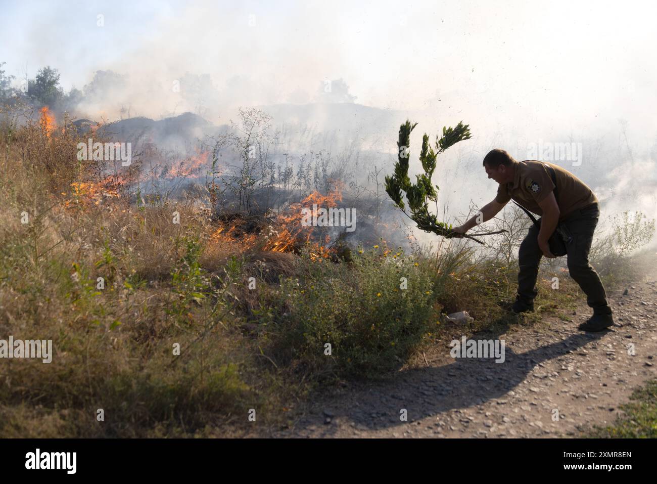 ODESSA, UKRAINE - July 24 2024: Forest, steppe fire completely destroy ...