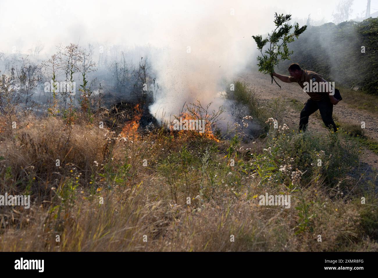 ODESSA, UKRAINE - July 24 2024: Forest, steppe fire completely destroy ...