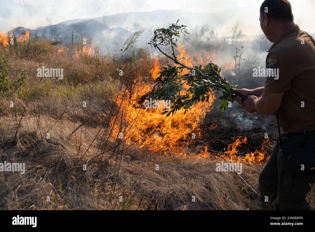 ODESSA, UKRAINE - July 24 2024: Forest, steppe fire completely destroy ...