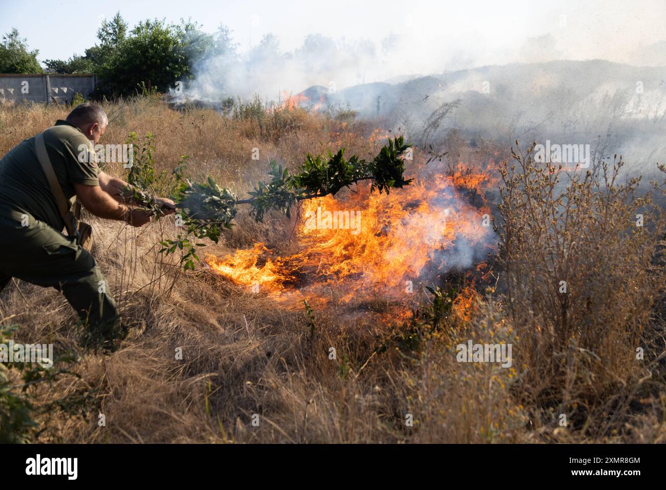 ODESSA, UKRAINE - July 24 2024: Forest, steppe fire completely destroy ...