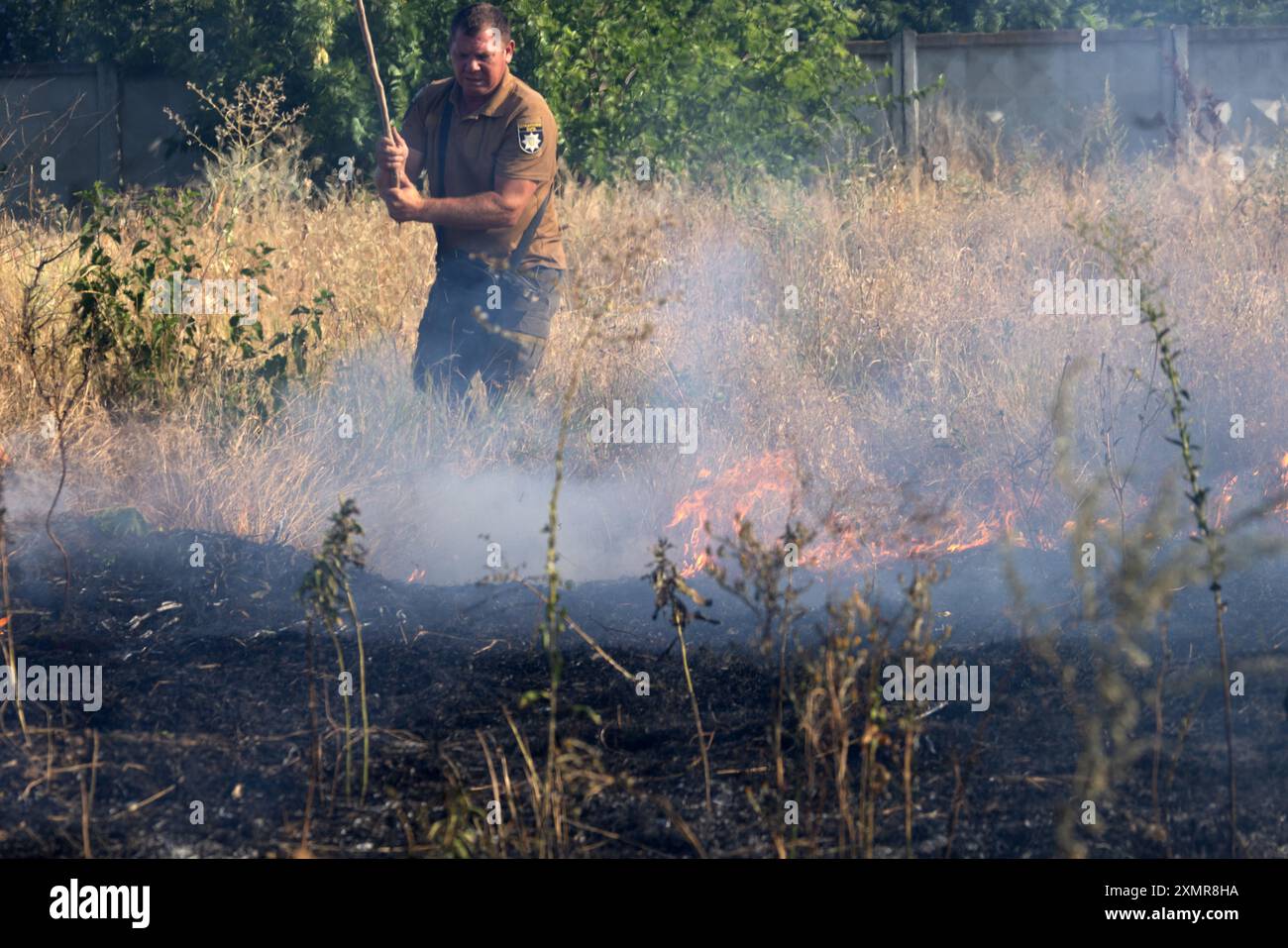 ODESSA, UKRAINE - July 24 2024: Forest, steppe fire completely destroy ...
