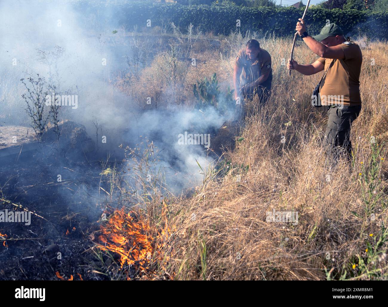 ODESSA, UKRAINE - July 24 2024: Forest, steppe fire completely destroy ...