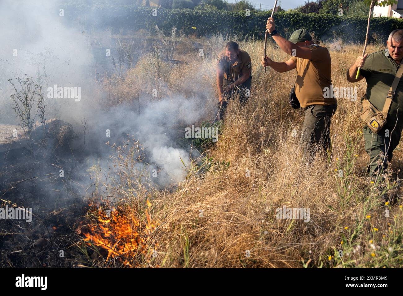 ODESSA, UKRAINE - July 24 2024: Forest, steppe fire completely destroy ...