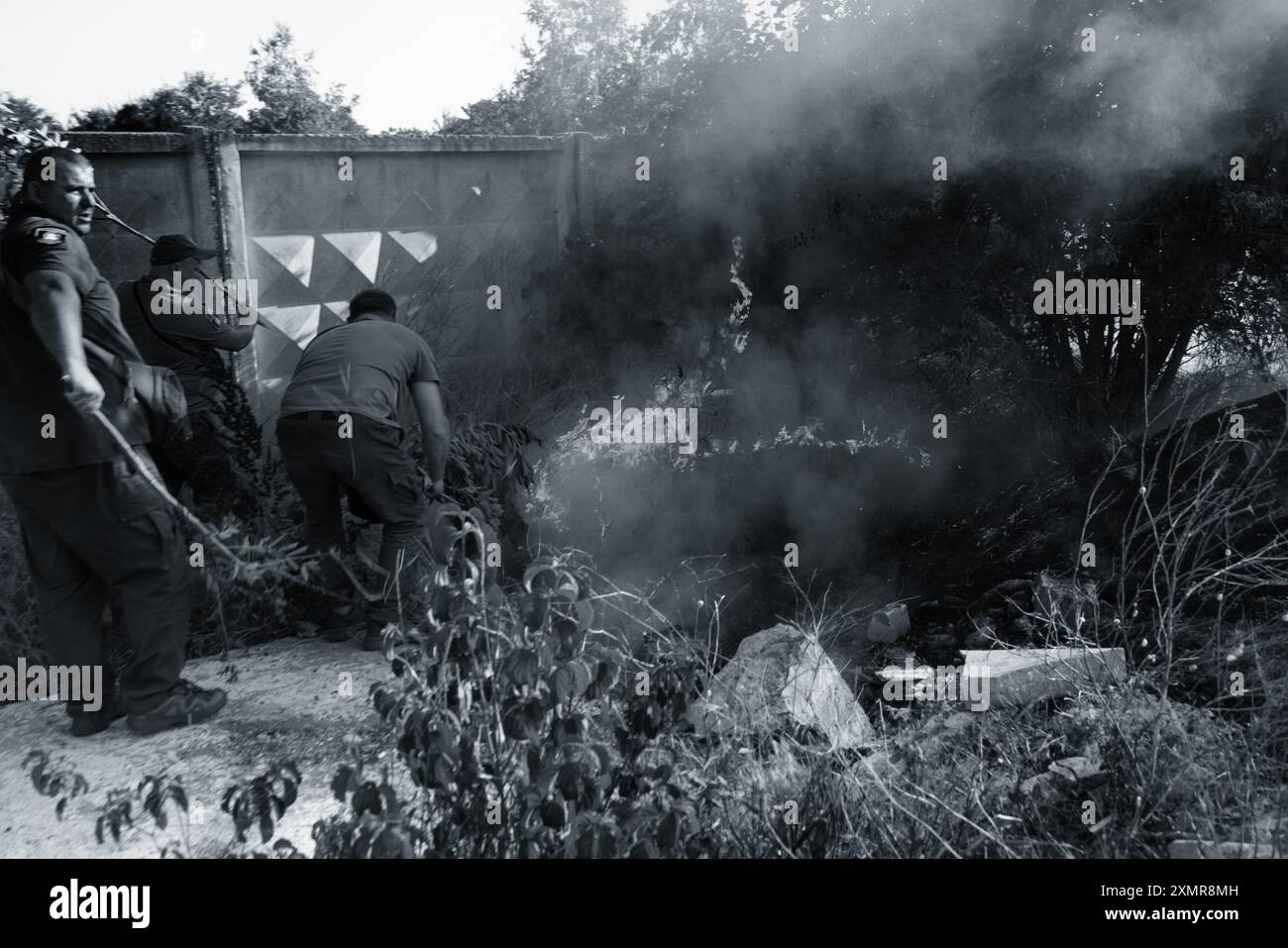 ODESSA, UKRAINE - July 24 2024: Forest, steppe fire completely destroy ...