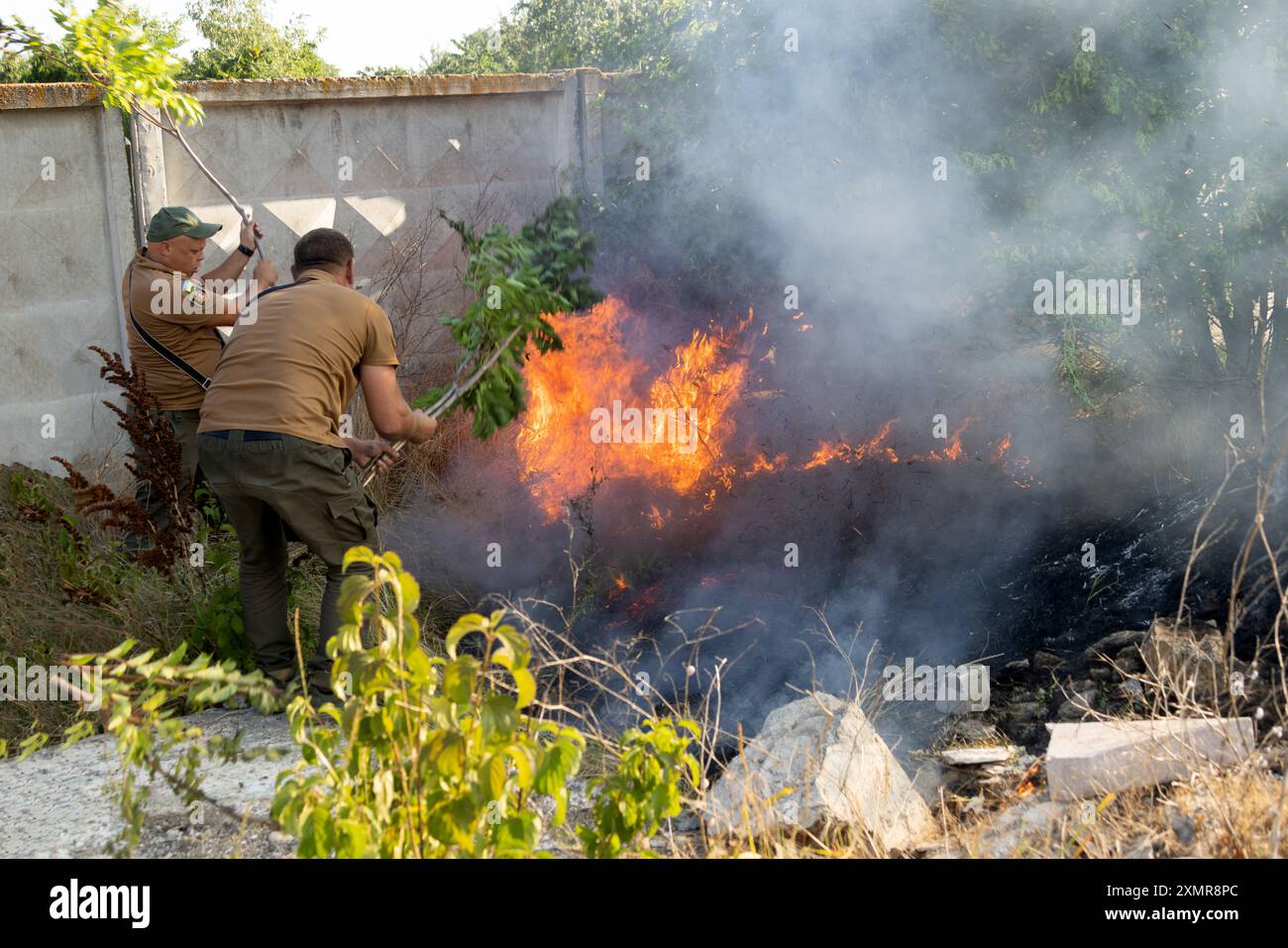 ODESSA, UKRAINE - July 24 2024: Forest, steppe fire completely destroy ...