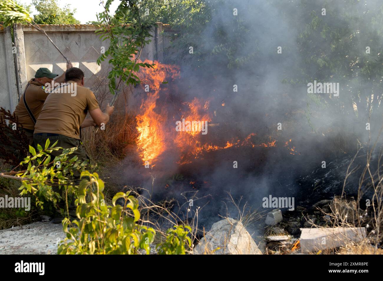 ODESSA, UKRAINE - July 24 2024: Forest, steppe fire completely destroy ...