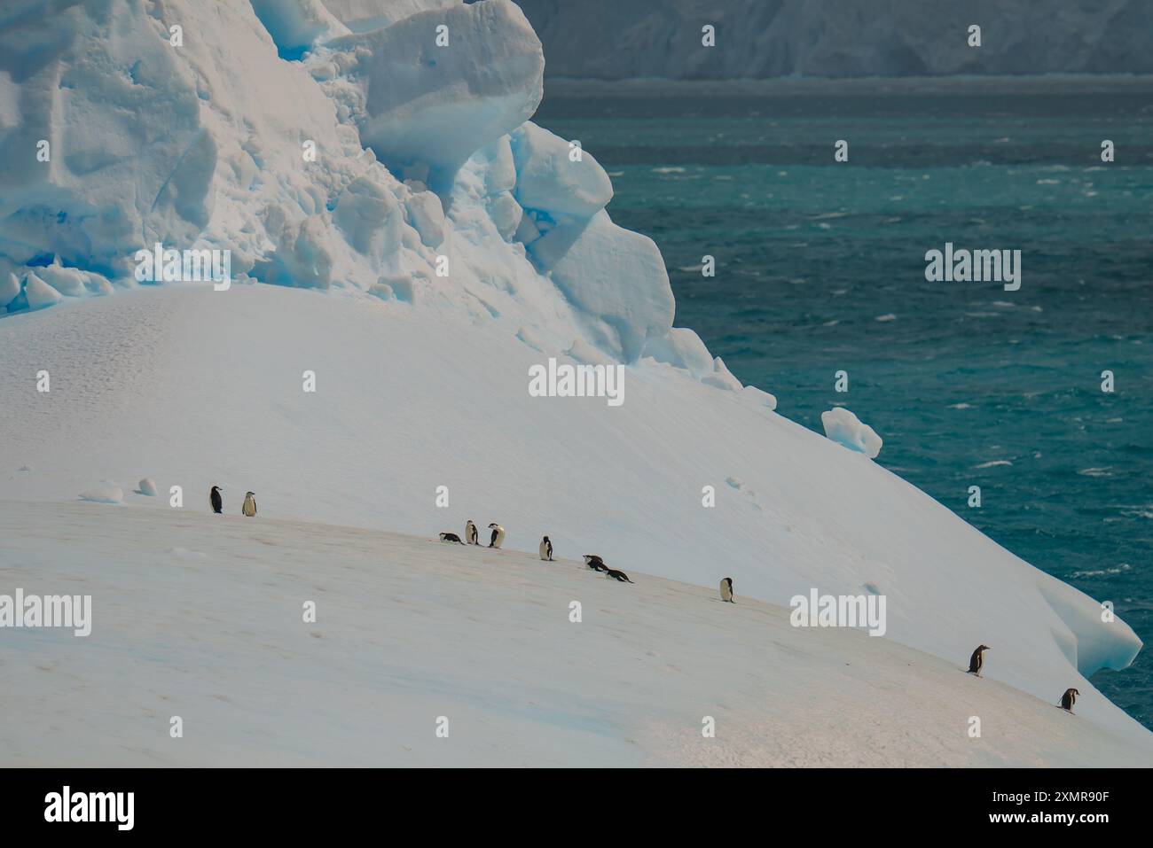 Penguins riding iceberg hi-res stock photography and images - Alamy