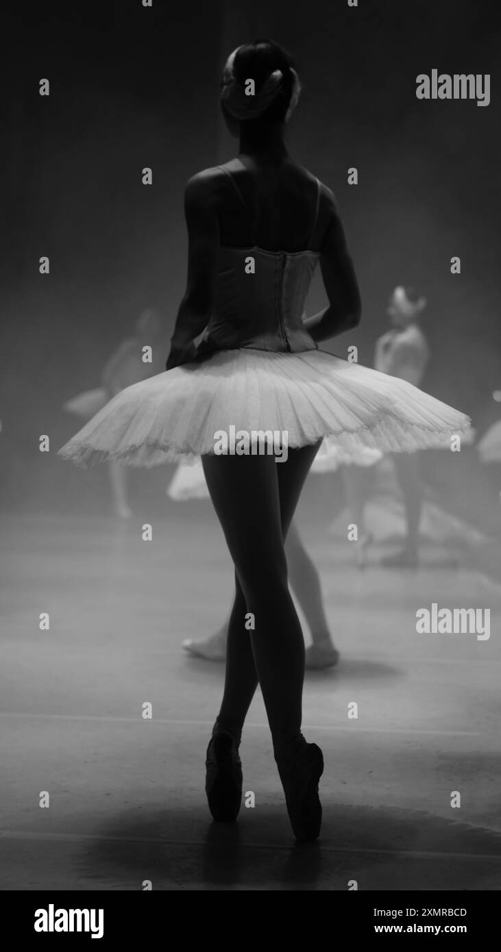 Ballerinas in white tutus, view from backstage. Black and white photos ...