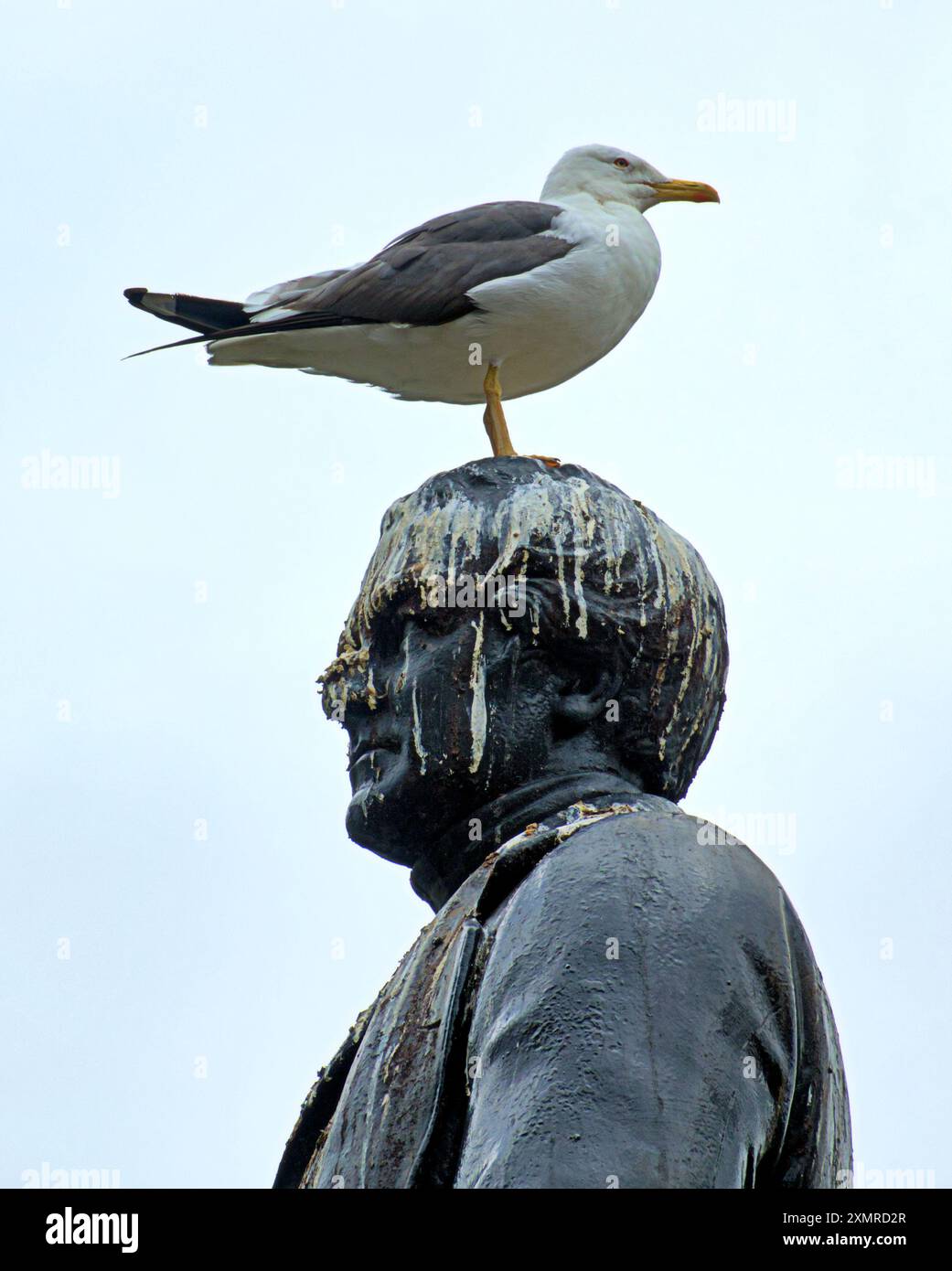 Glasgow, Scotland, UK. 29thJuly, 2024: Plight of the George Square ...