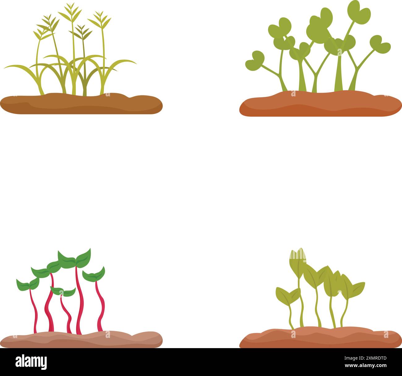 Illustrating different growth stages hi-res stock photography and ...
