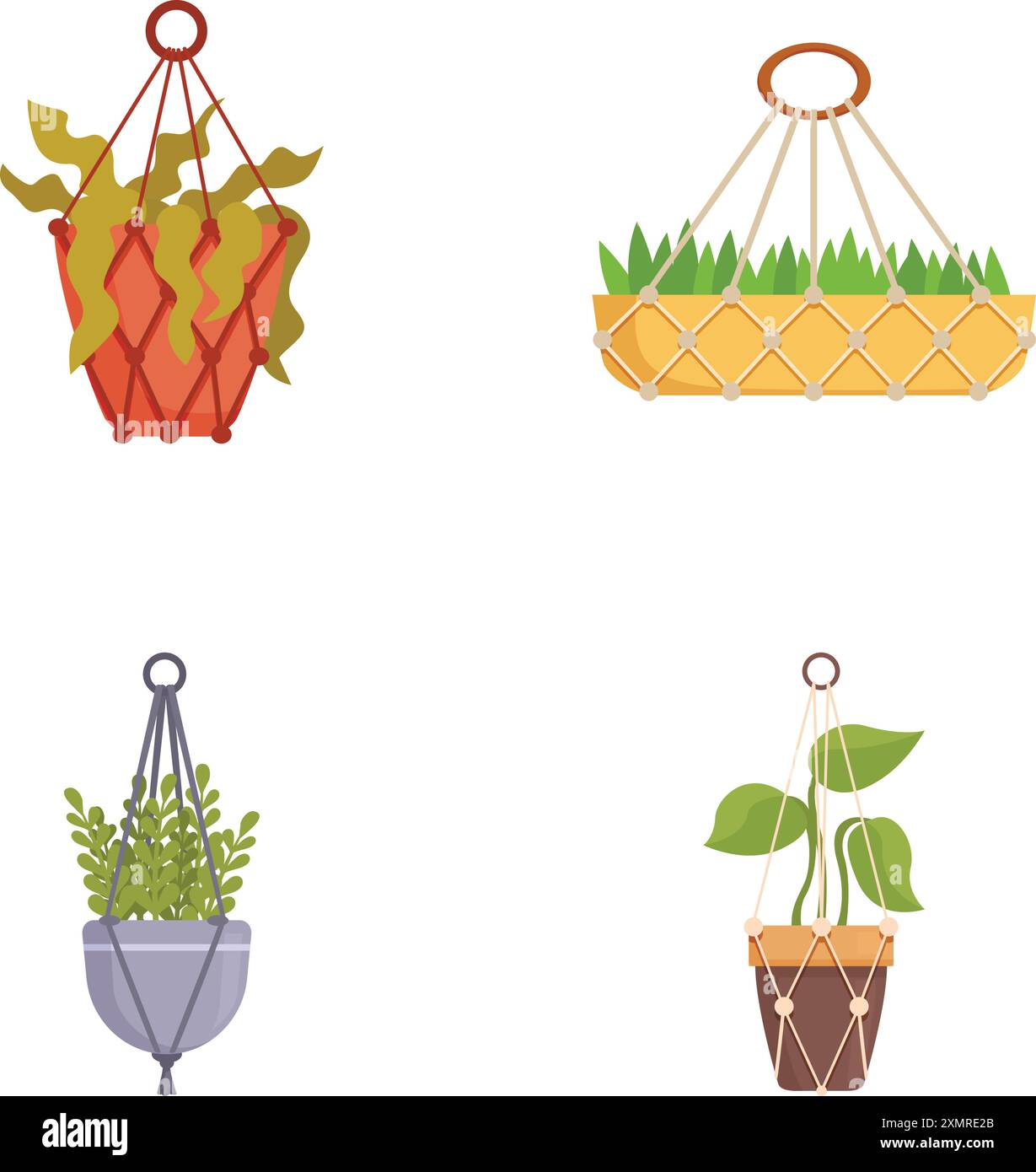 Vector illustration set featuring four indoor hanging plants in various ...