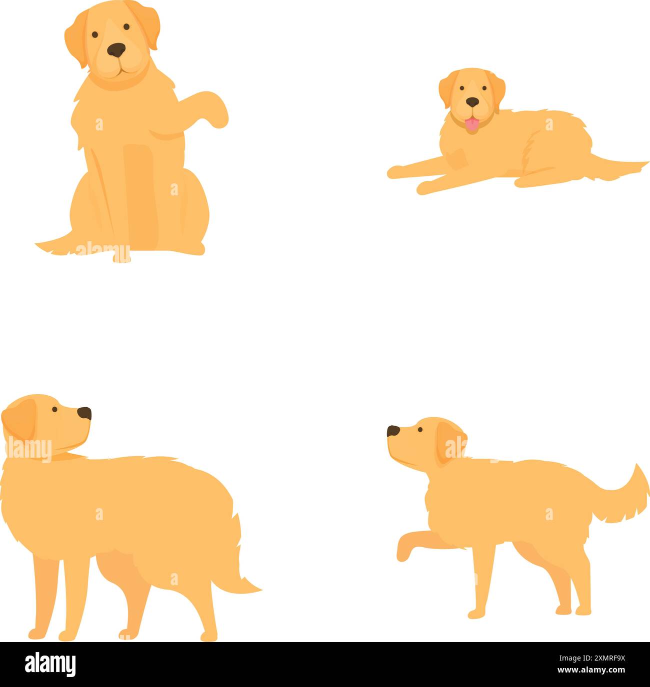 Collection of cute cartoon labrador retrievers in different poses ...