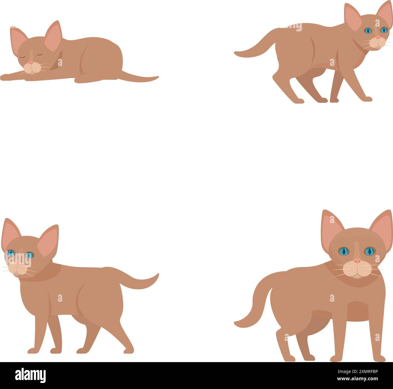 Showcasing different postures and expressions hi-res stock photography ...