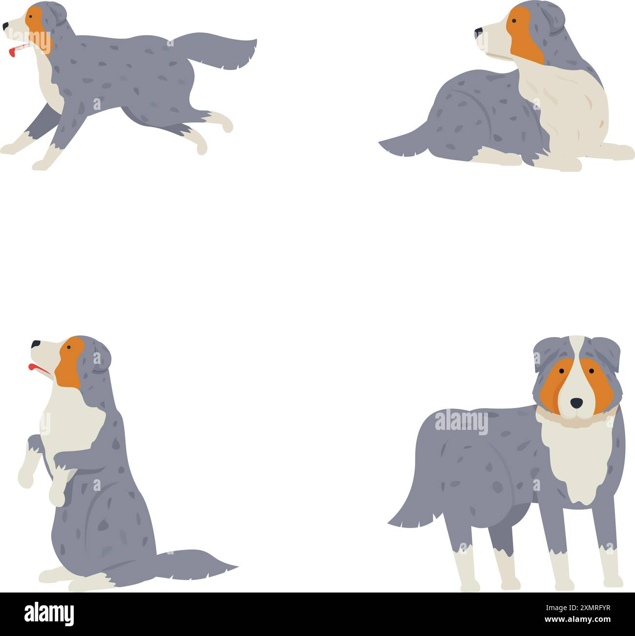 Showcasing various postures hi-res stock photography and images - Alamy