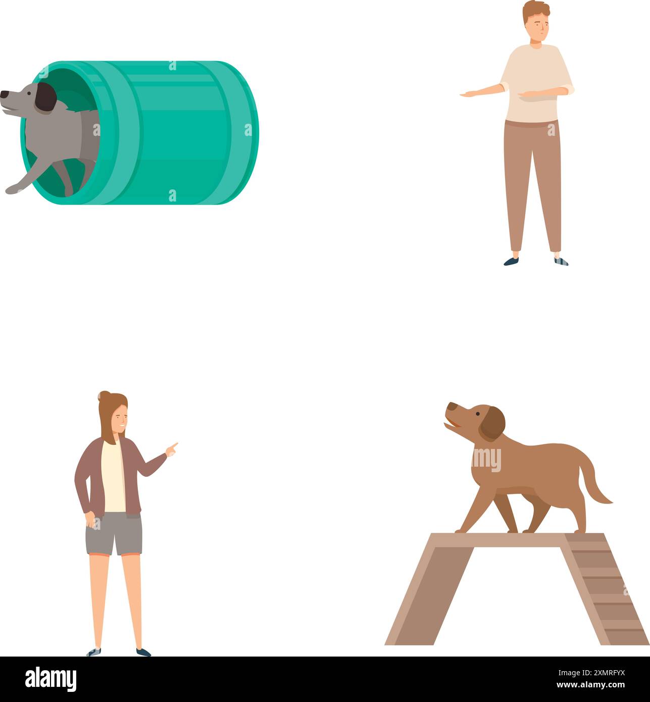 Collection of vector illustrations featuring different dog training ...