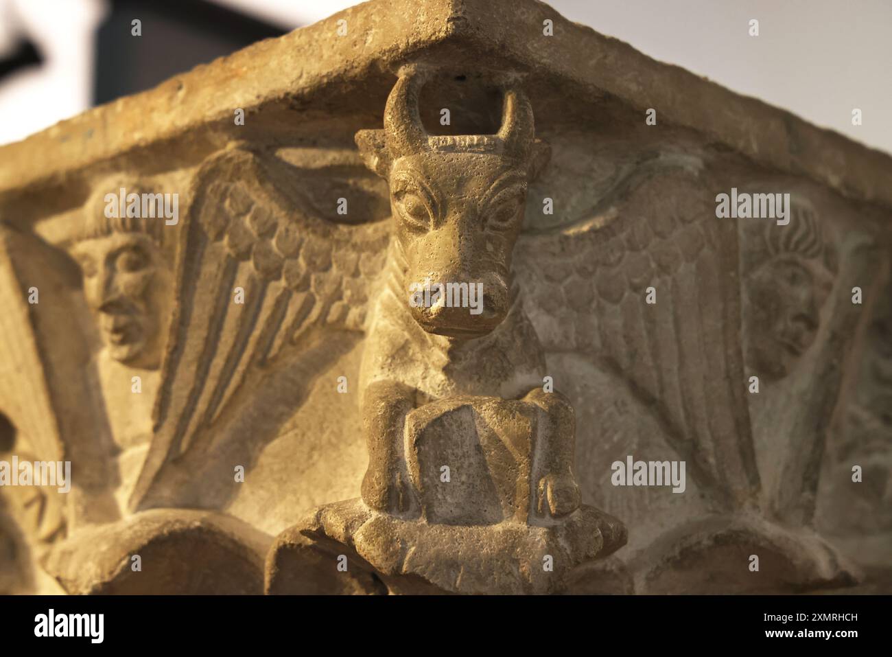 Bull symbol hi-res stock photography and images - Alamy