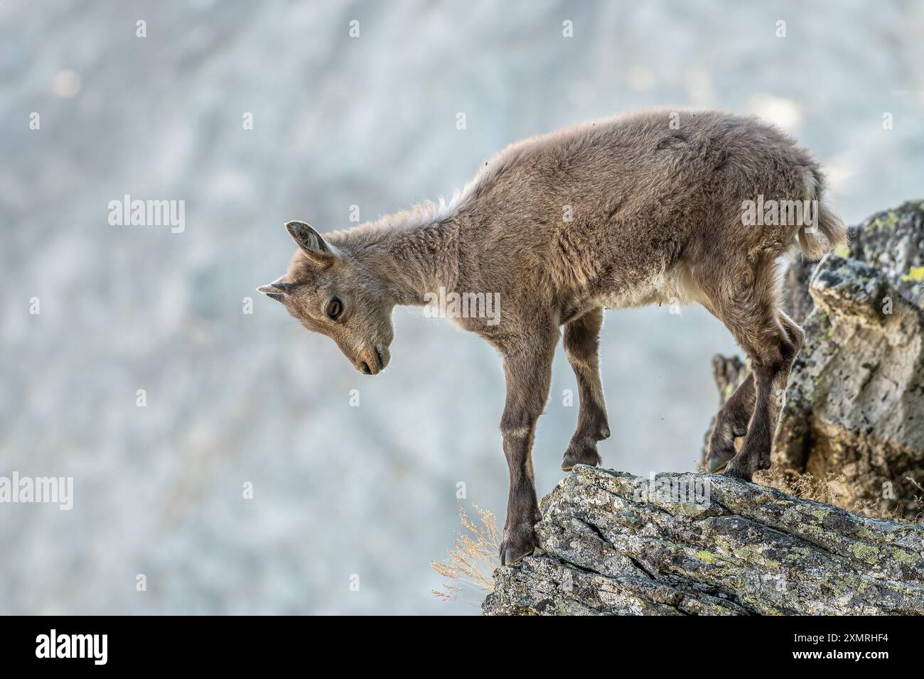 Steep mounting climb hi-res stock photography and images - Alamy