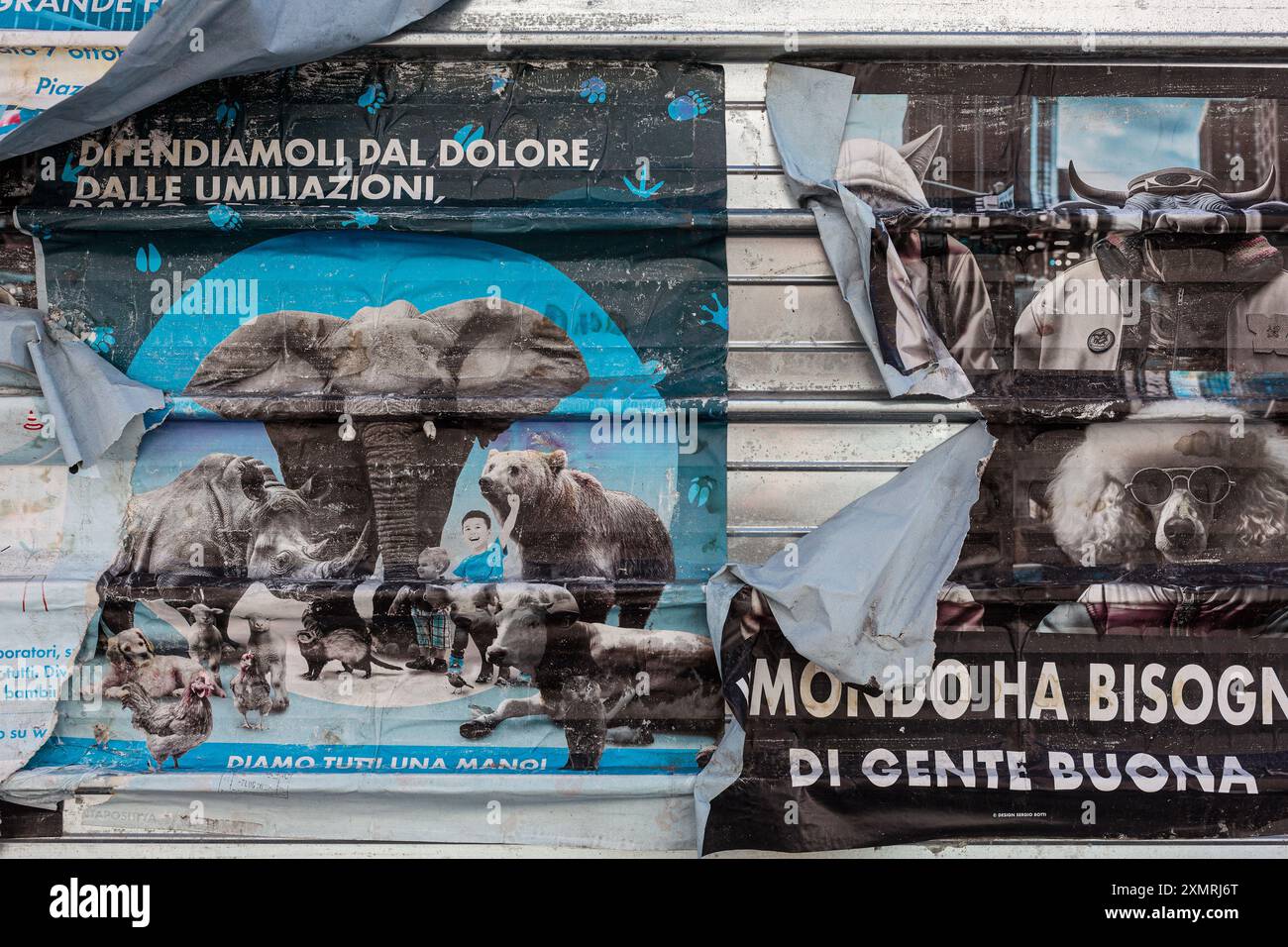 Milan, Italy - March 16, 2024: Torn old posters advocating for animal ...