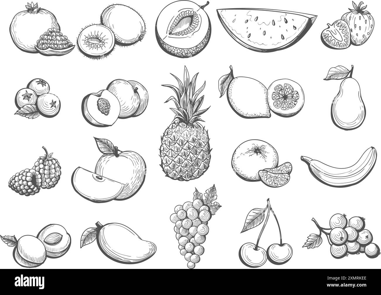 Set peach fruit drawn Black and White Stock Photos & Images - Alamy