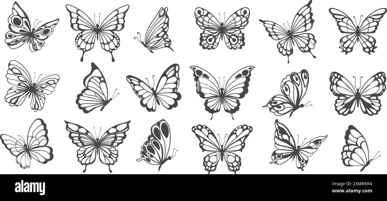 Monarch butterflies hand Cut Out Stock Images & Pictures - Alamy