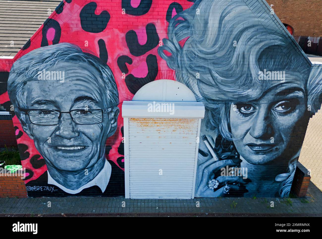 Elevated view of the Paul O’Grady mural by local artist Brezaux at ...