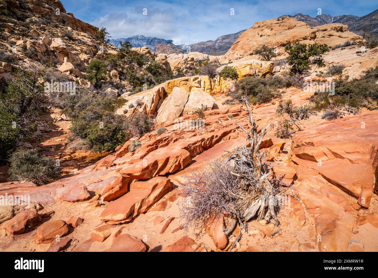 Hiking trail in Red Rock Canyon near Las Vegas, Nevada Stock Photo - Alamy