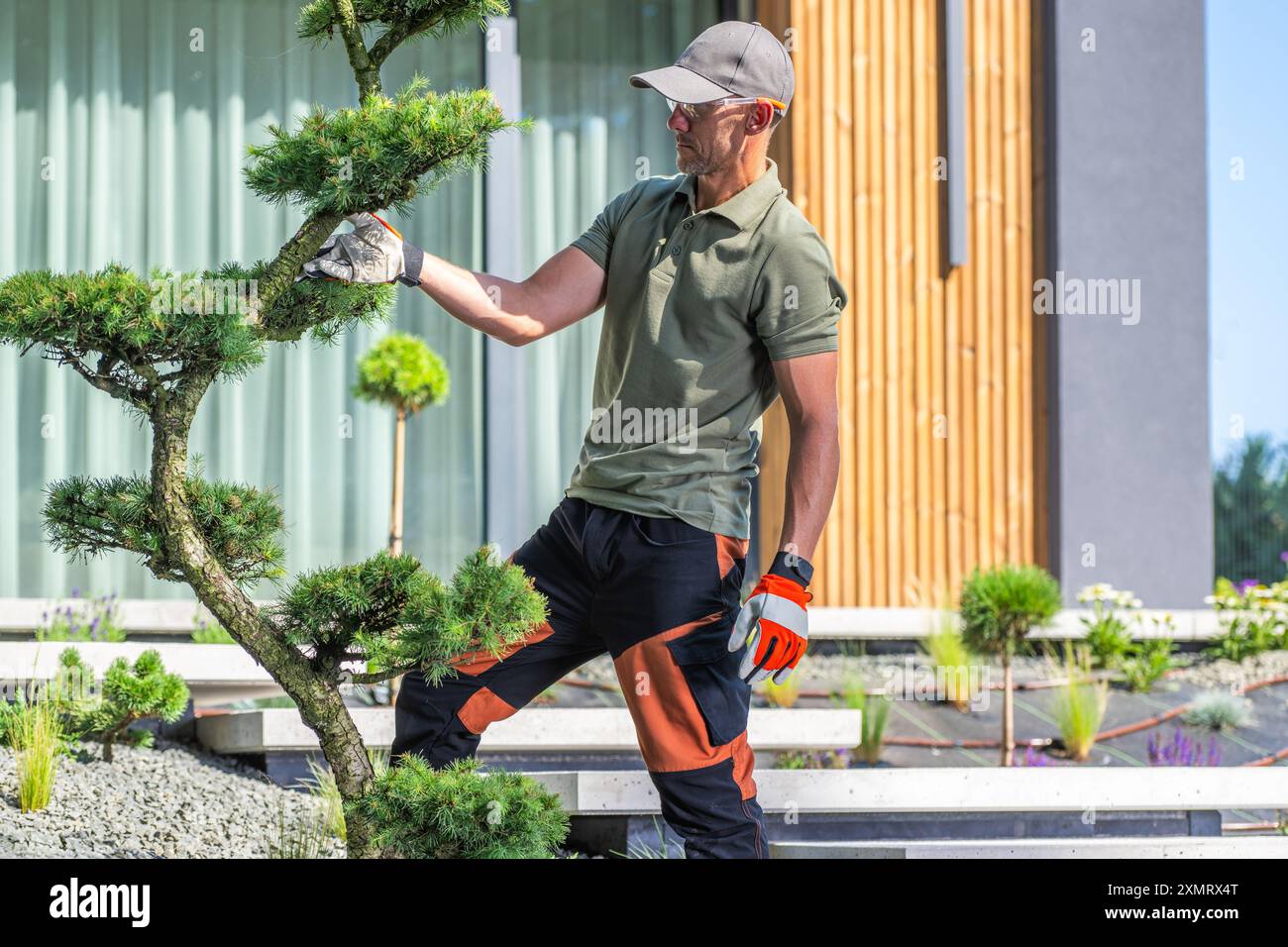 A gardener prunes a neatly shaped tree in a modern outdoor space, where ...