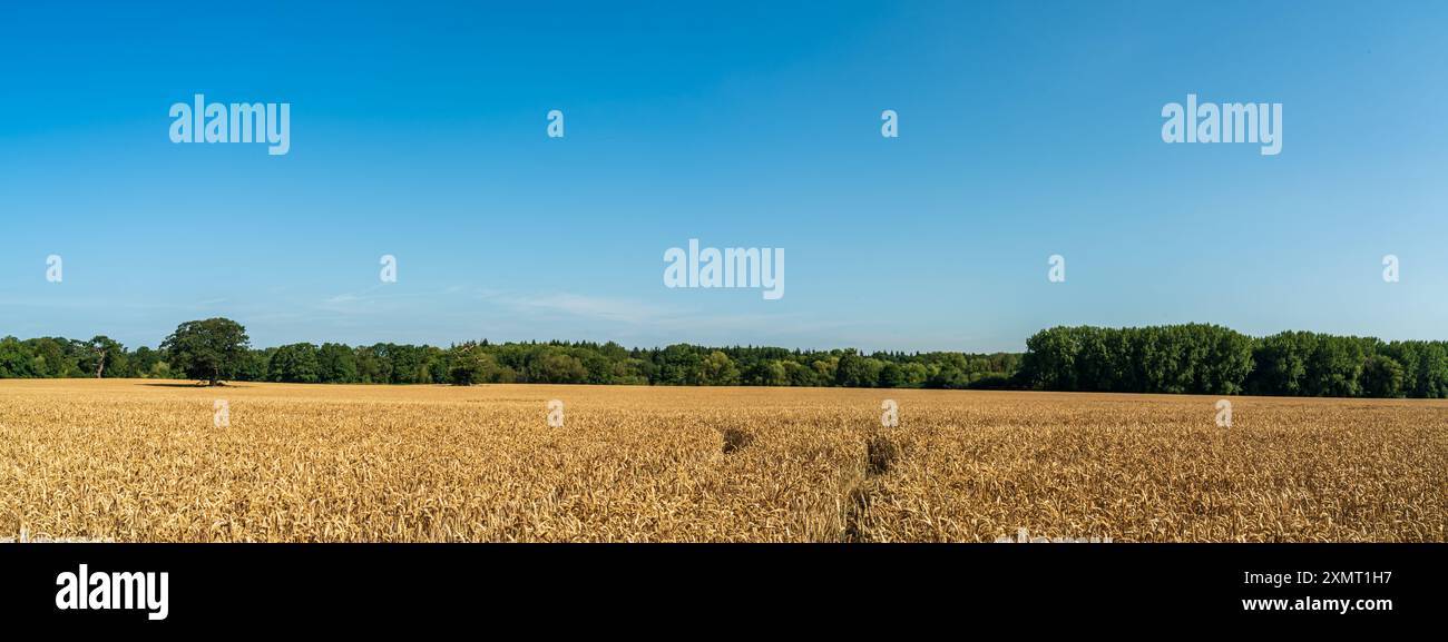 Panoramic photo countryside in hi-res stock photography and images - Alamy