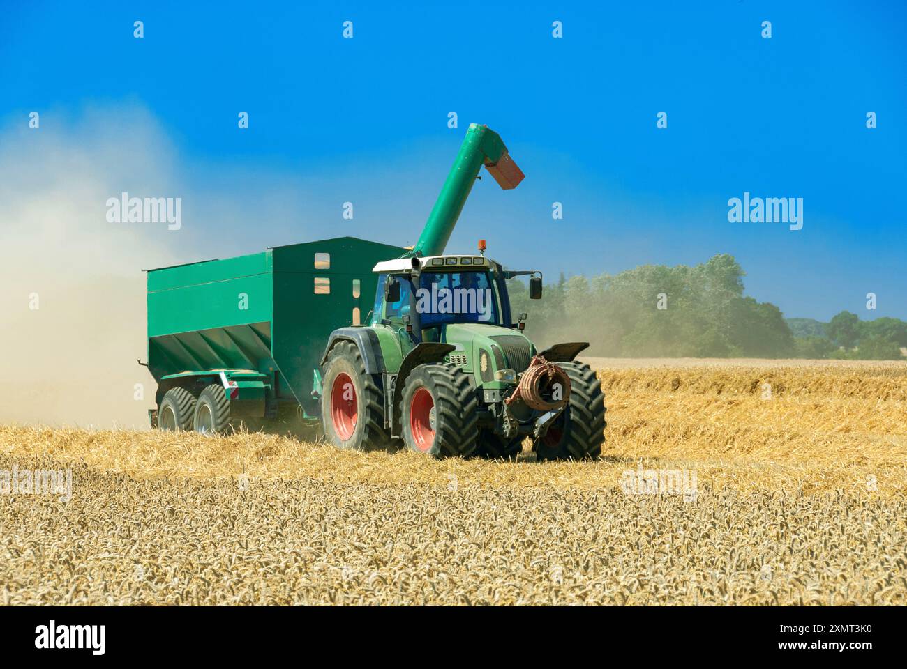 Tractor with loader wagon in the grain field during harvest Stock Photo ...
