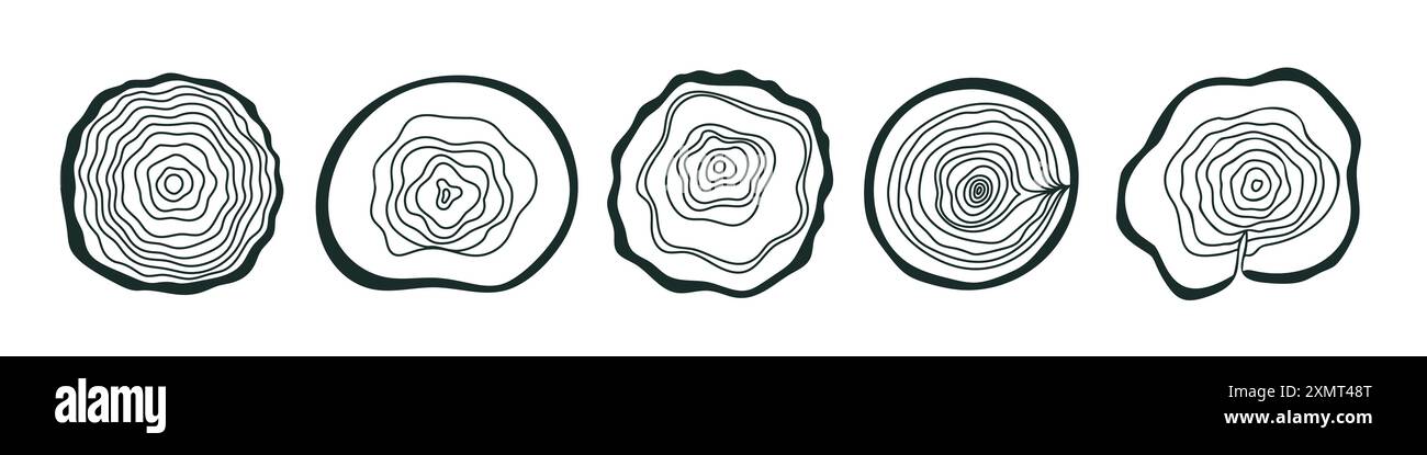 Circular wood rings. Abstract round outlines. Tree stump texture. Oak ...