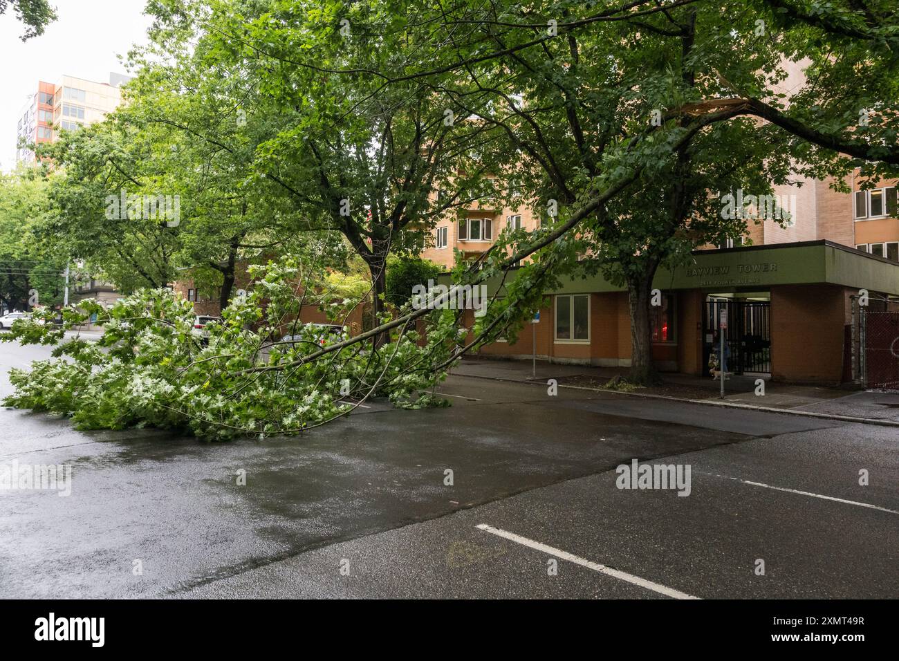 Strong gust city hi-res stock photography and images - Alamy