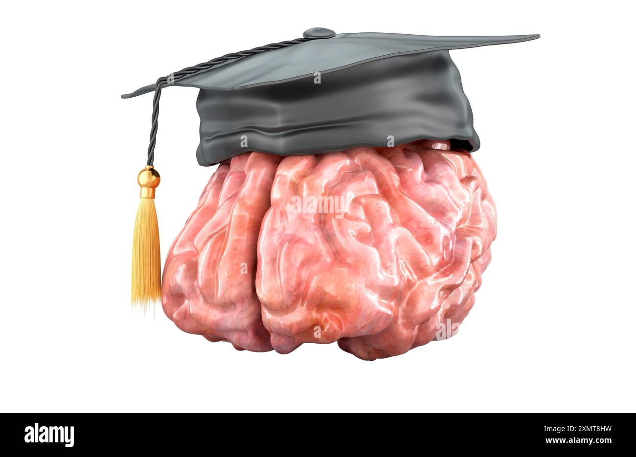 Brain with graduation hat. Education and graduation concept, 3D ...