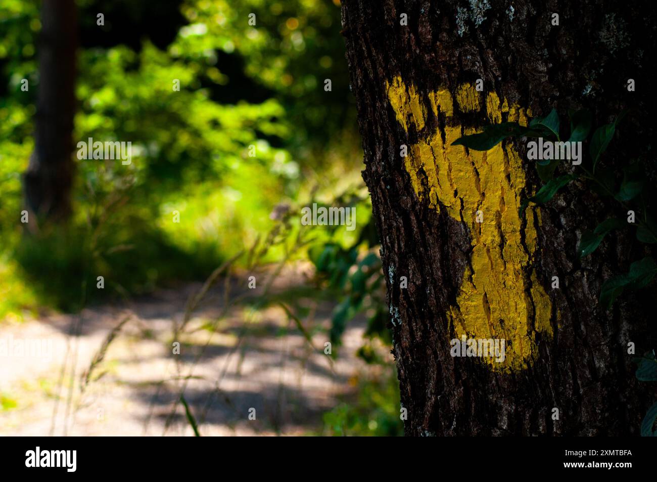Footprint and stickmans in the Forest Stock Photo - Alamy