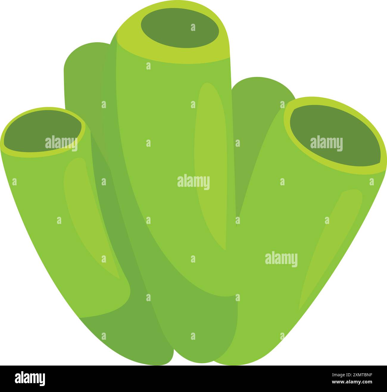 Green tube sponge is growing on a reef underwater Stock Vector Image ...