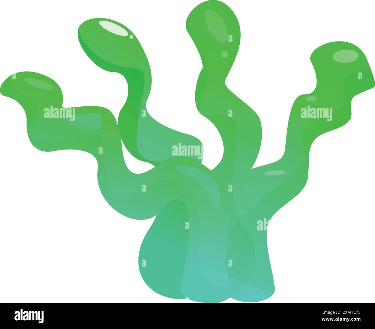Green seaweed swaying gracefully in the ocean current hi-res stock ...
