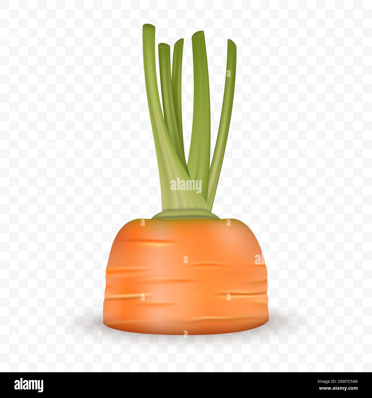 Realistic Vector Carrot Partially Emerging from the Soil. Detailed ...