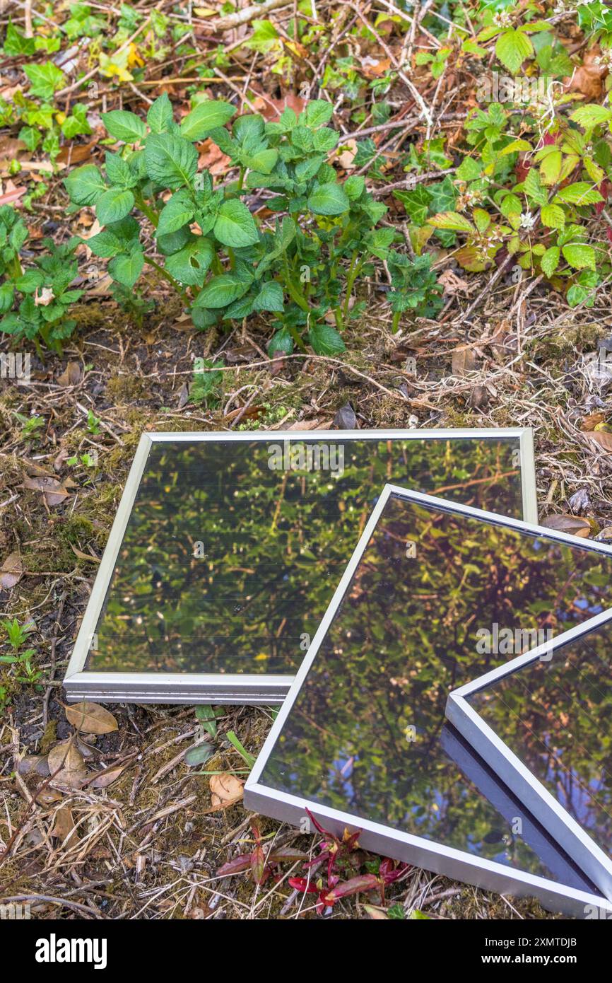 Old solar power technology - Schott RWE 12v 5w amorphous silicon (ASi ...