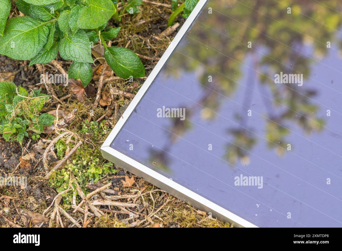 Old solar power technology - Schott RWE 12v 5w amorphous silicon (ASi ...