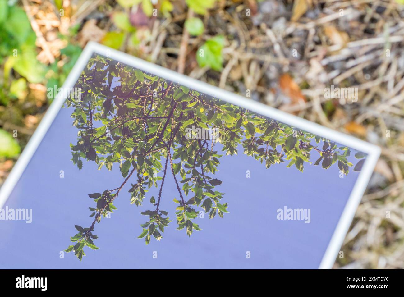 Old solar power technology - Schott RWE 12v 5w amorphous silicon (ASi ...