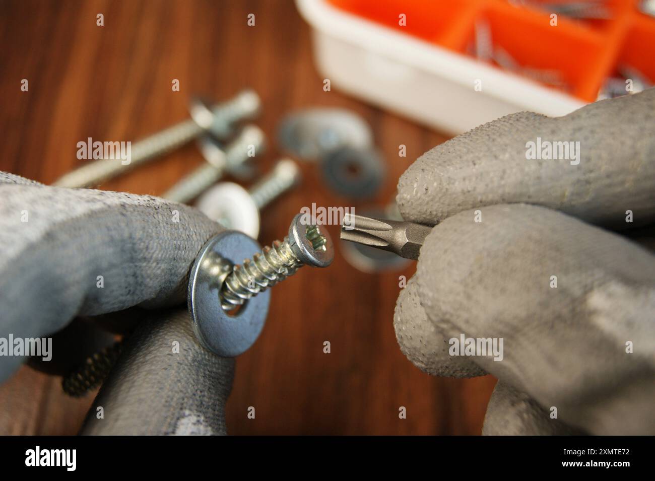 Close-up of the builder's work process. Screw and screwdriver bit in ...