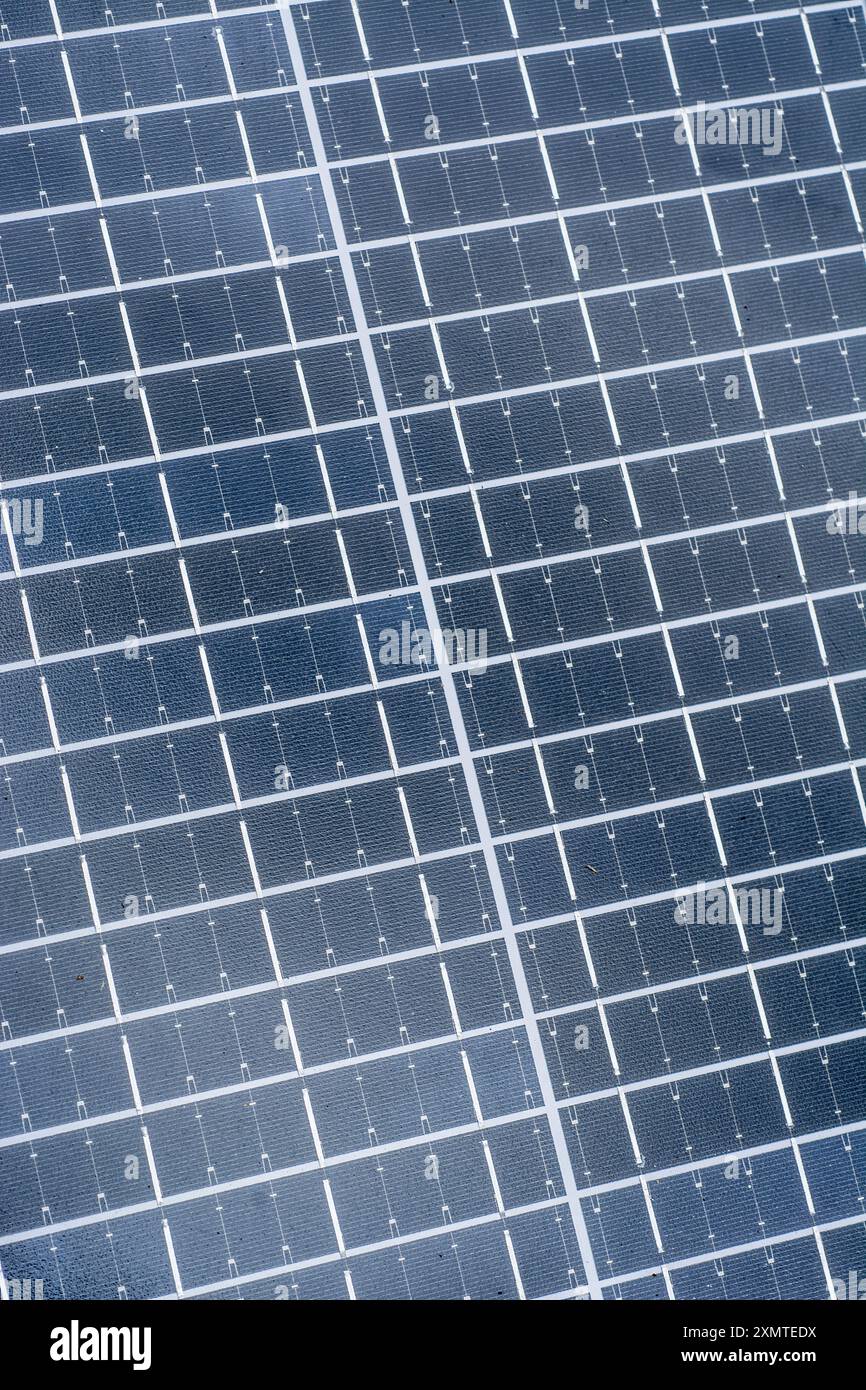 12v 25w monocrystalline solar panel from Eco-Worthy dappled by overhead ...