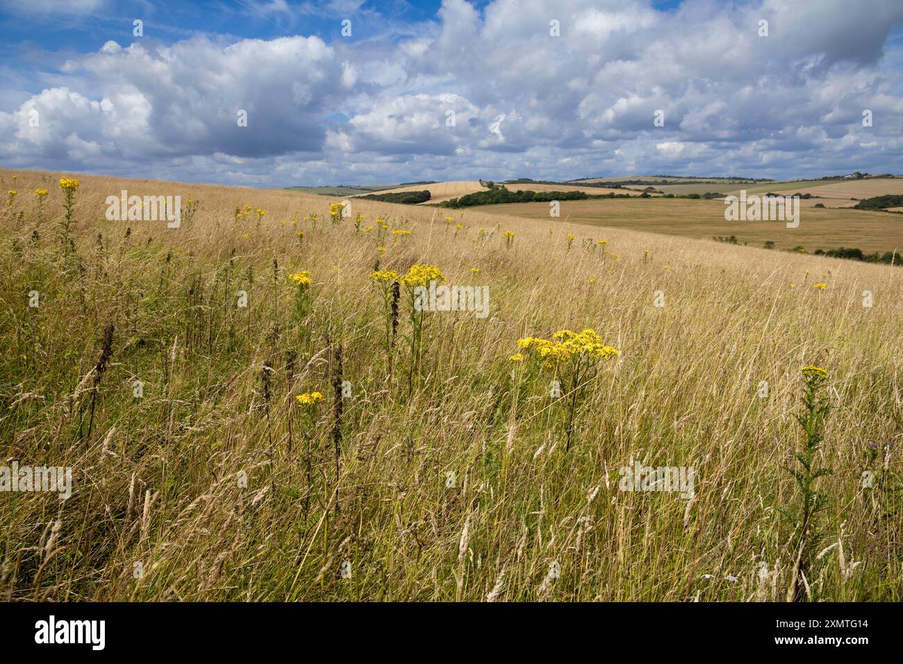 British countryside hi-res stock photography and images - Alamy