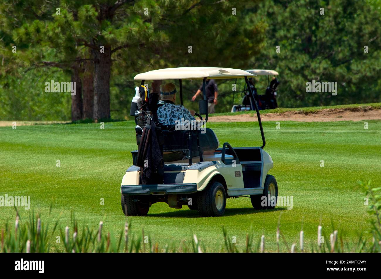 FRONT RANGE, COLORADO, USA: A golfer driving a cart near a sand trap at ...