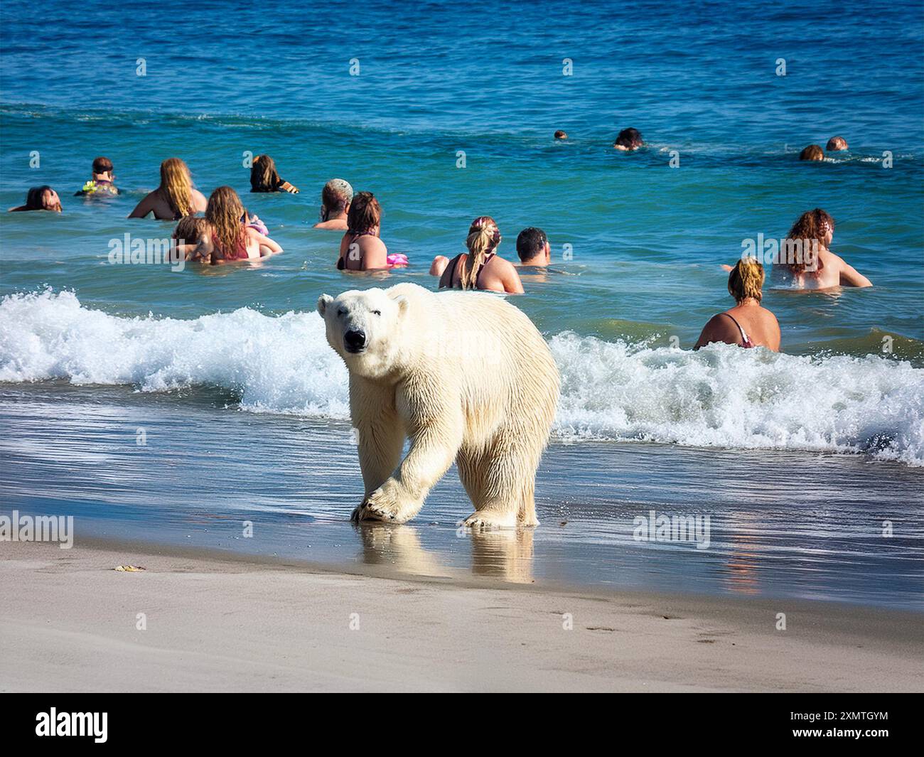 the suffering of a polar bear walking on the shoreline of a beach Stock ...