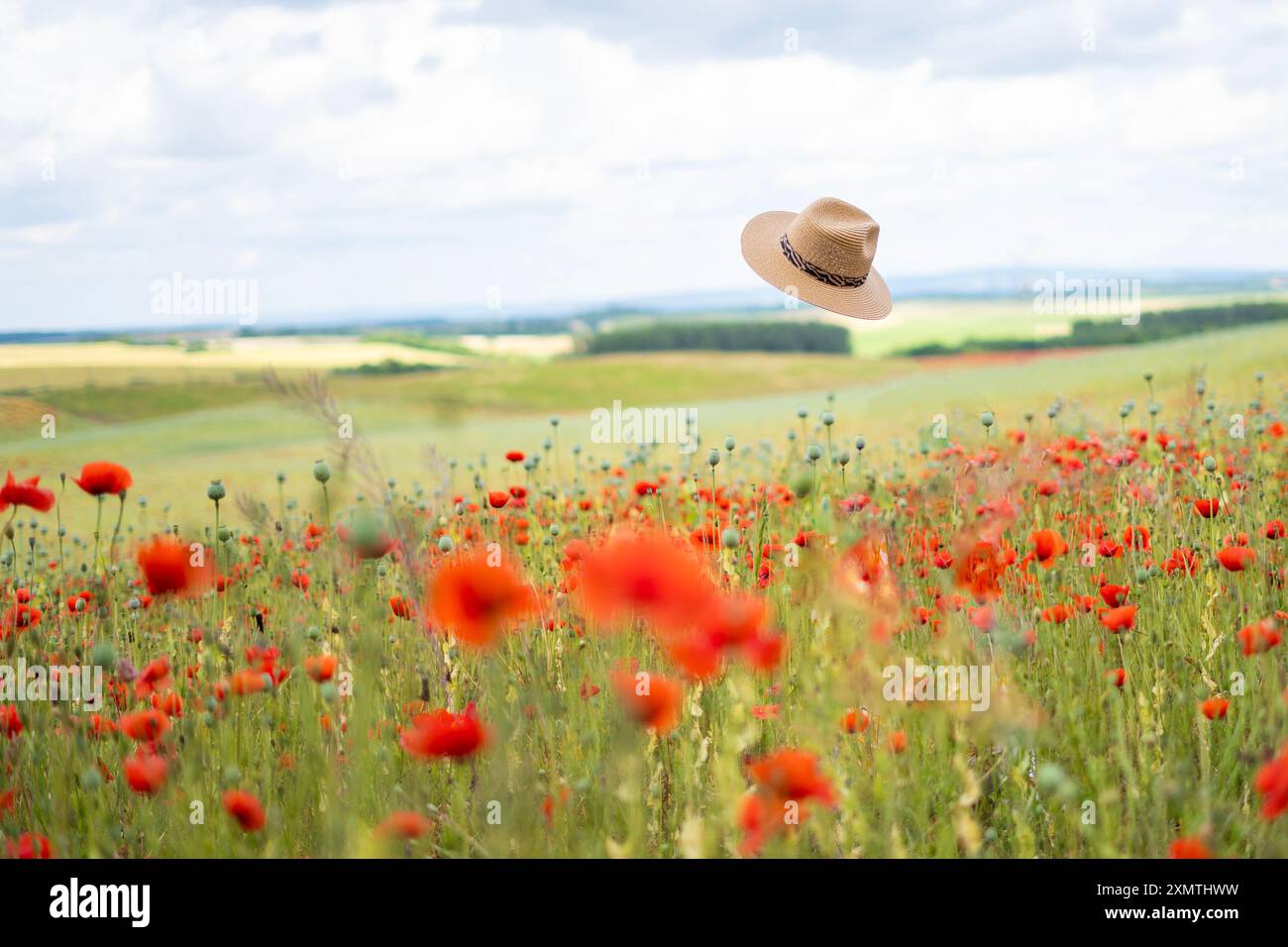Poppy hat hi-res stock photography and images - Alamy