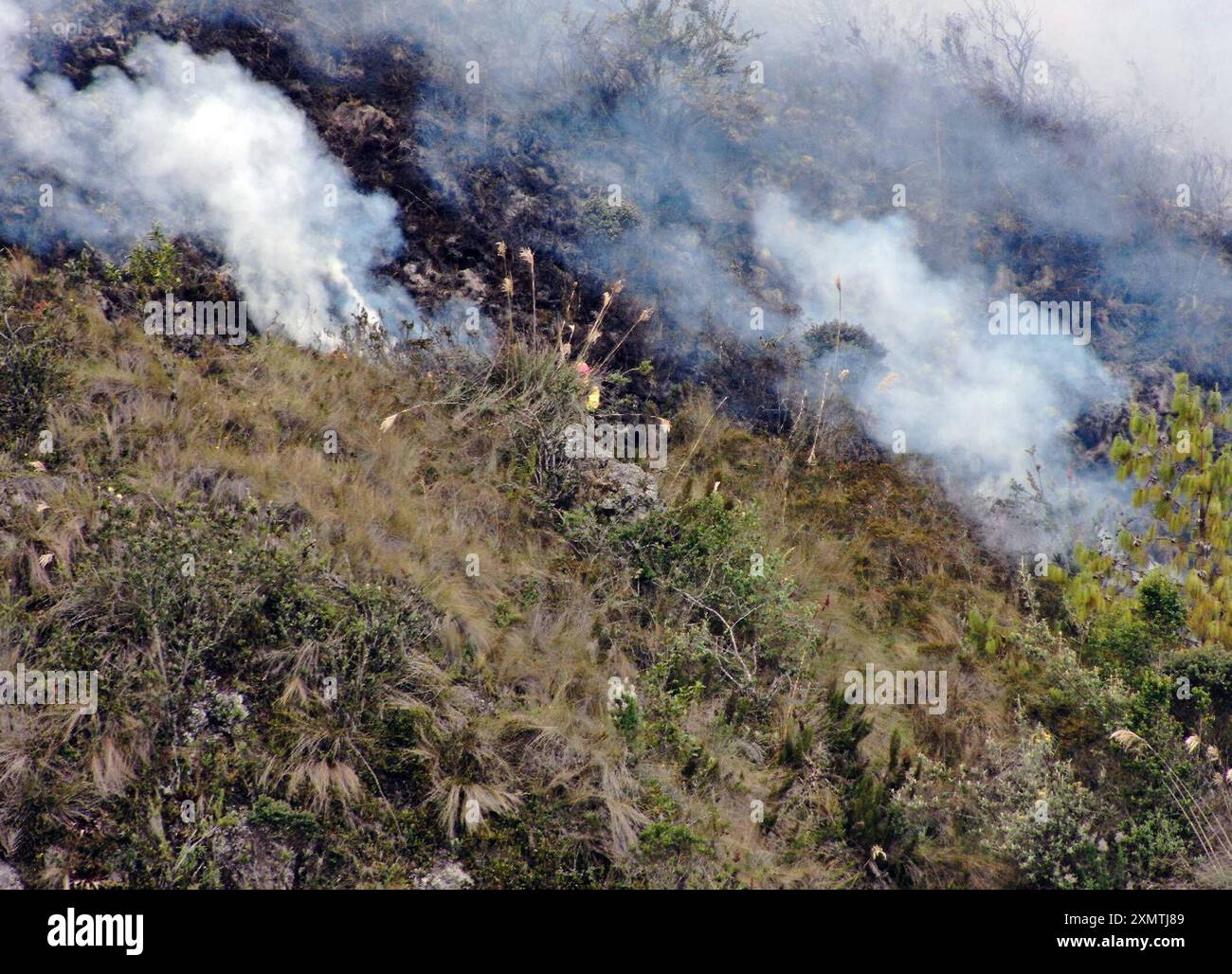 CUENCA FOREST FIRE Cuenca,Ecuador July 29, 2024 At the moment personnel ...