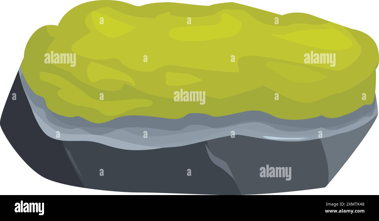 Grey stone covered with green moss isolated on white background Stock ...