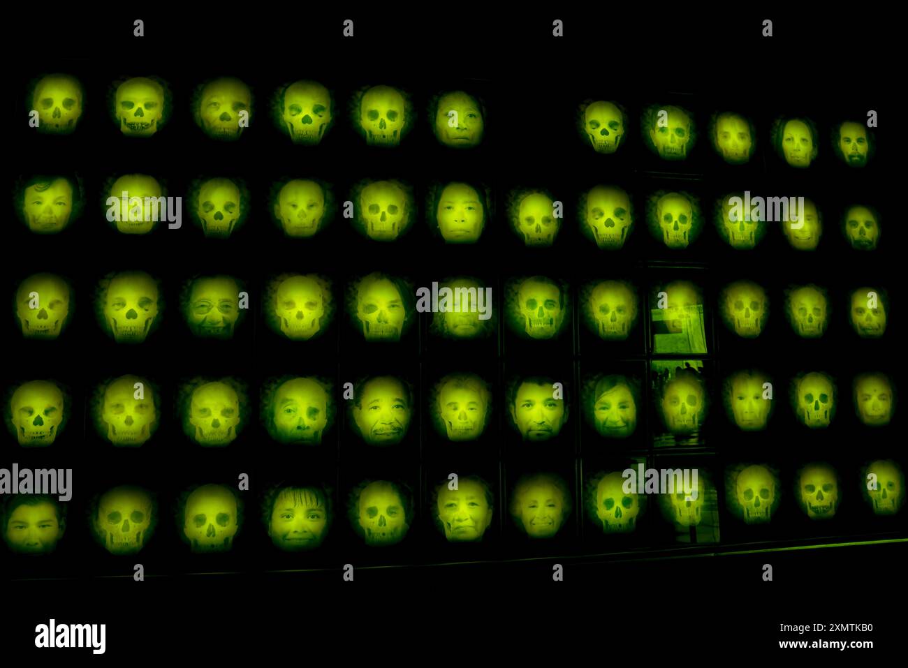 Caveman, Neanderthal, Primate, Homo Habilis, Homo Rudolfensis, Homo ...