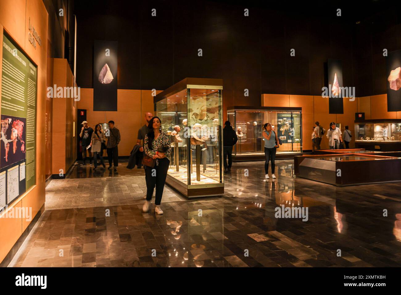 Caveman, Neanderthal, Primate, Homo Habilis, Homo Rudolfensis, Homo ...