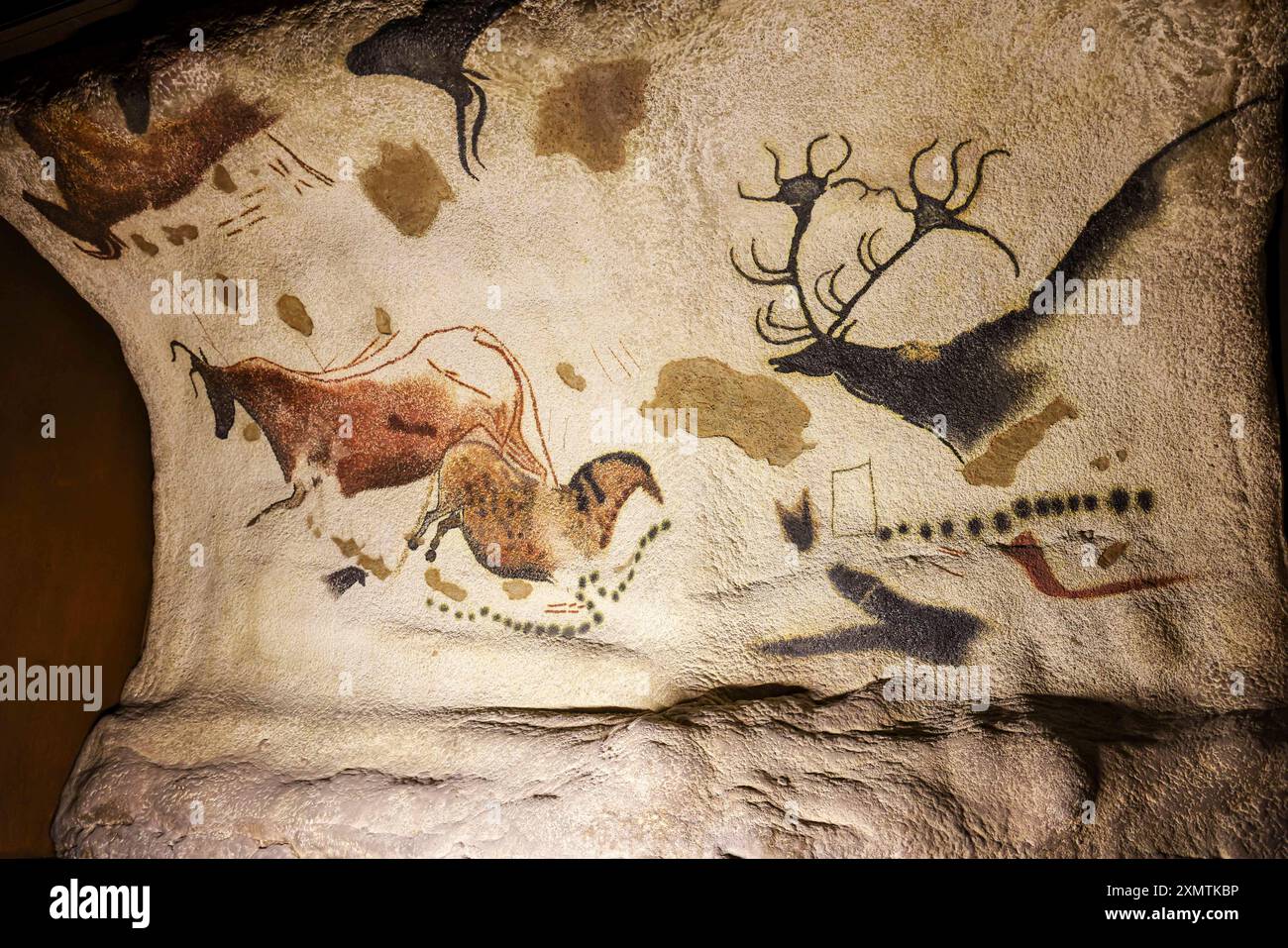 Caveman, Neanderthal, Primate, Homo Habilis, Homo Rudolfensis, Homo ...